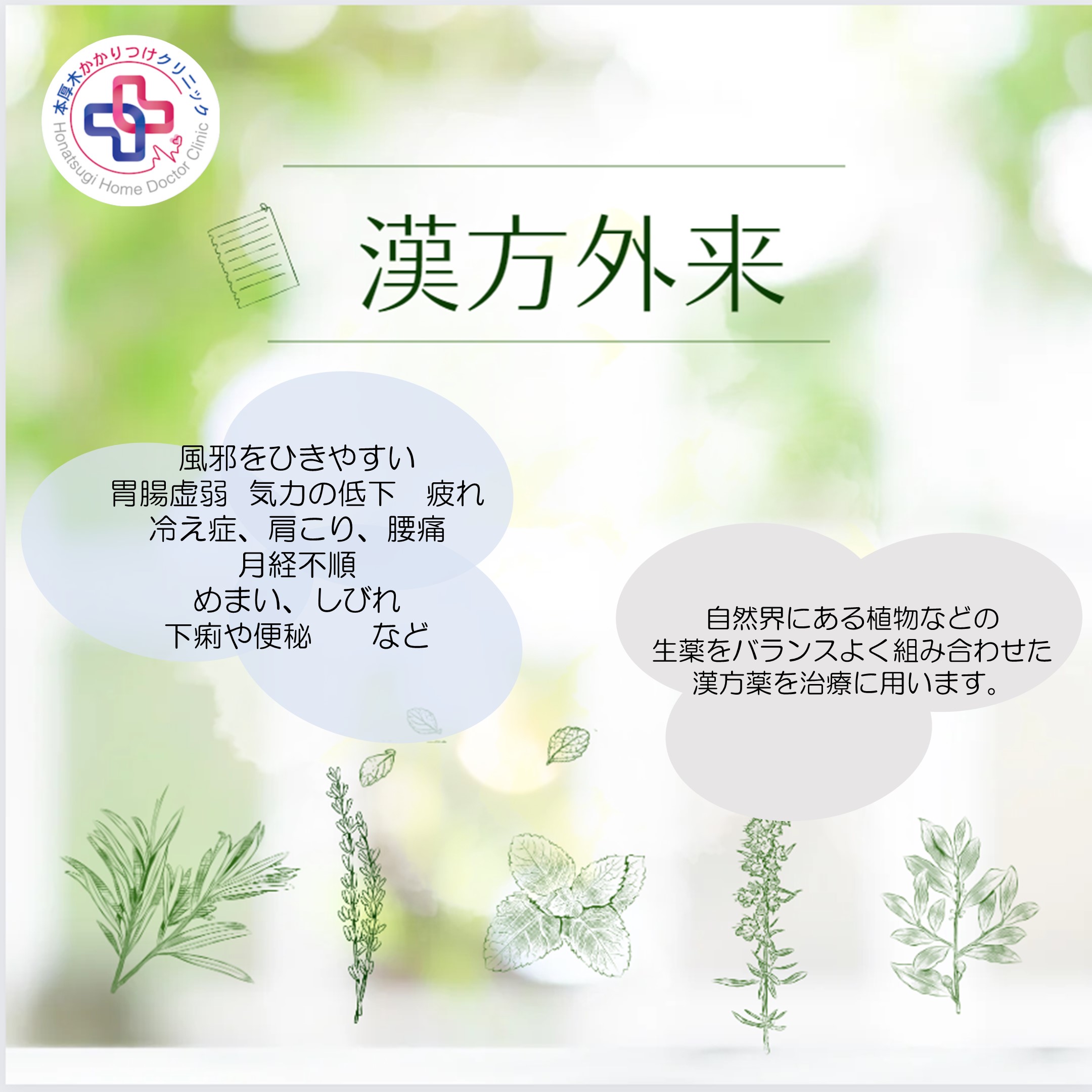 漢方外来のお知らせ | かかくり｜本厚木かかりつけクリニック